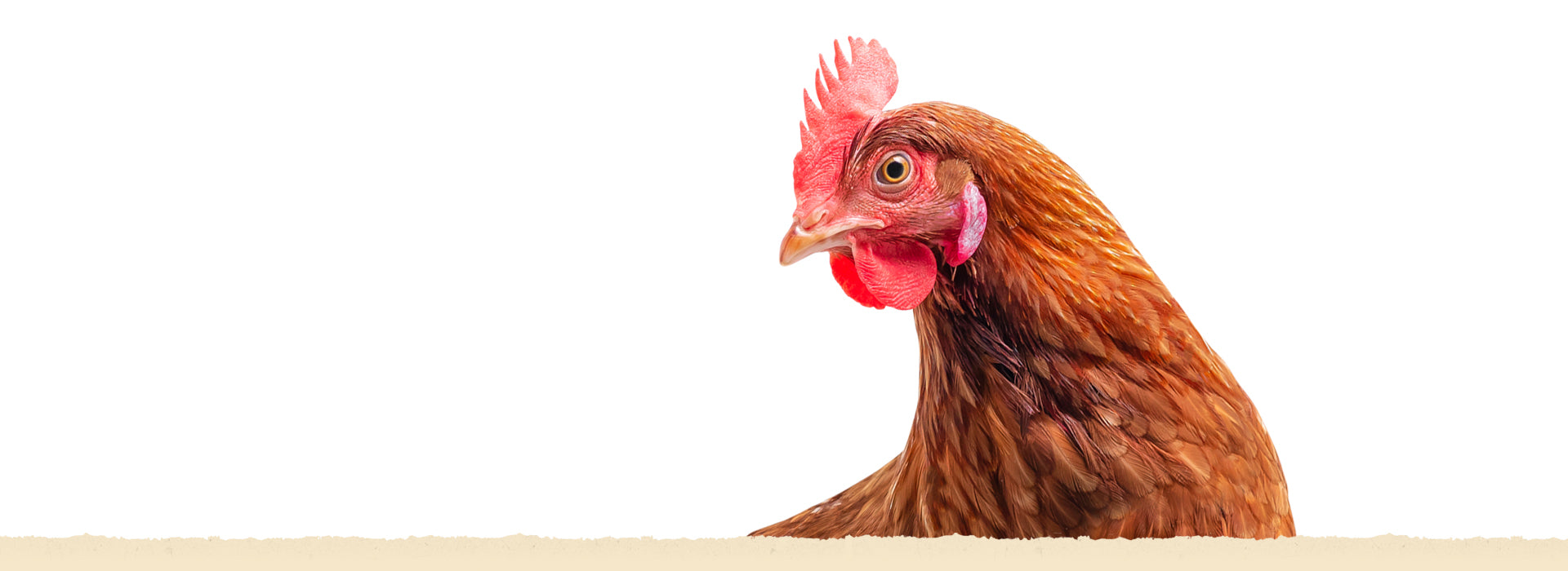 Farm Made Foods - Free Range Eggs, Coconut Candy, Ladoo & Sugar