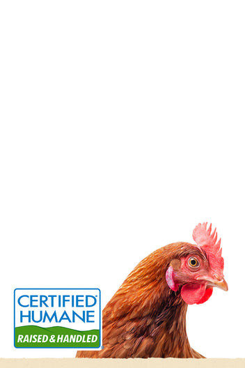 Farm Made Foods - Free Range Eggs, Coconut Candy, Ladoo & Sugar