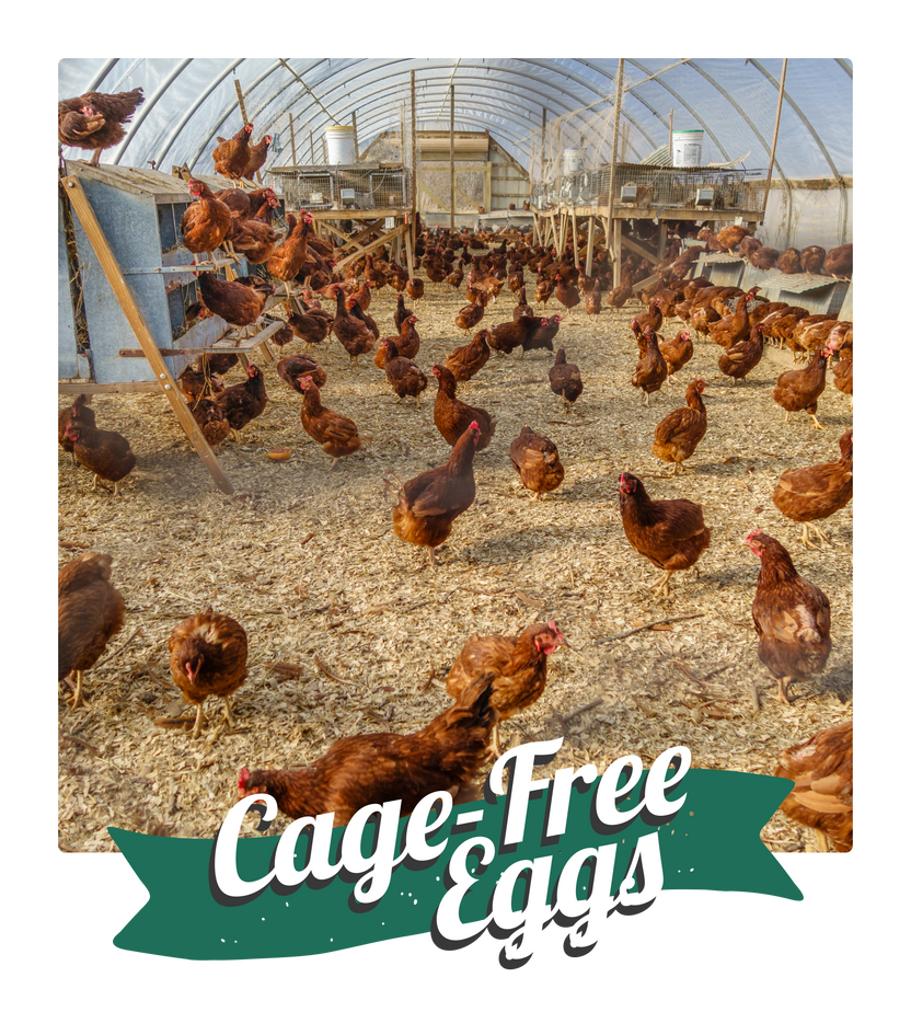 Farm Made Foods - Free Range Eggs, Coconut Candy, Ladoo & Sugar