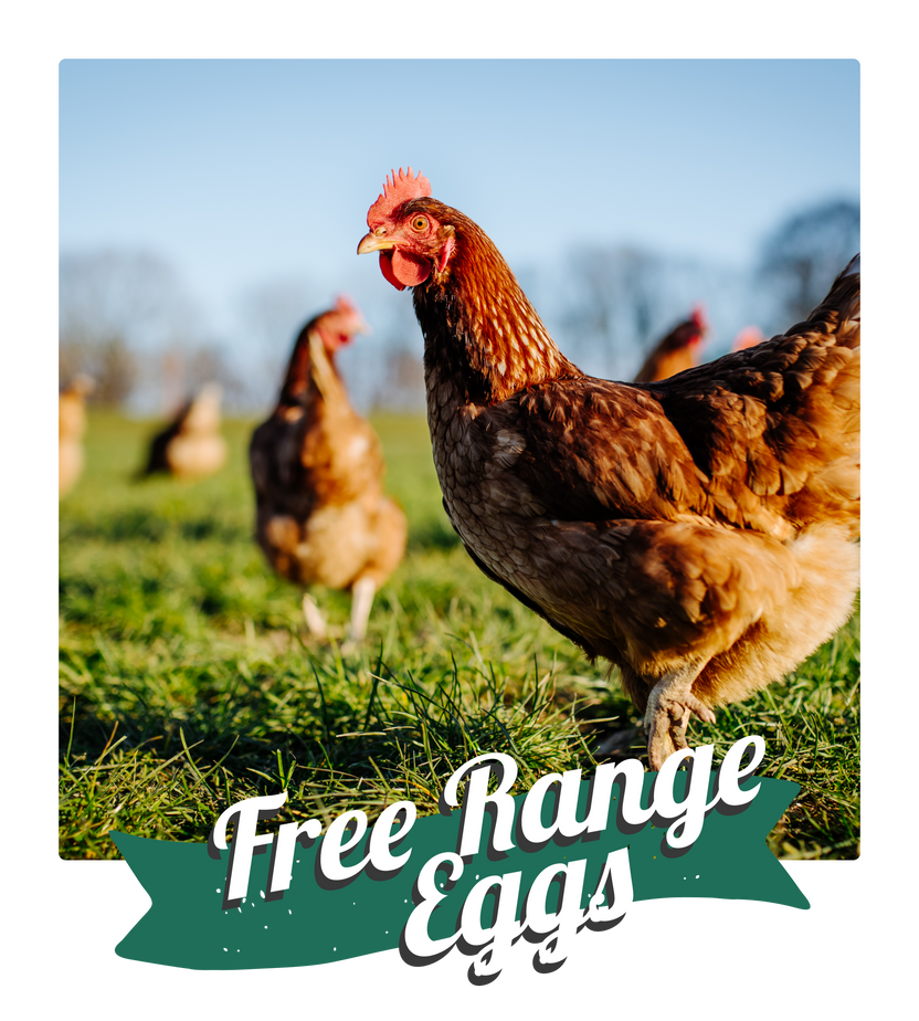 Farm Made Foods - Free Range Eggs, Coconut Candy, Ladoo & Sugar