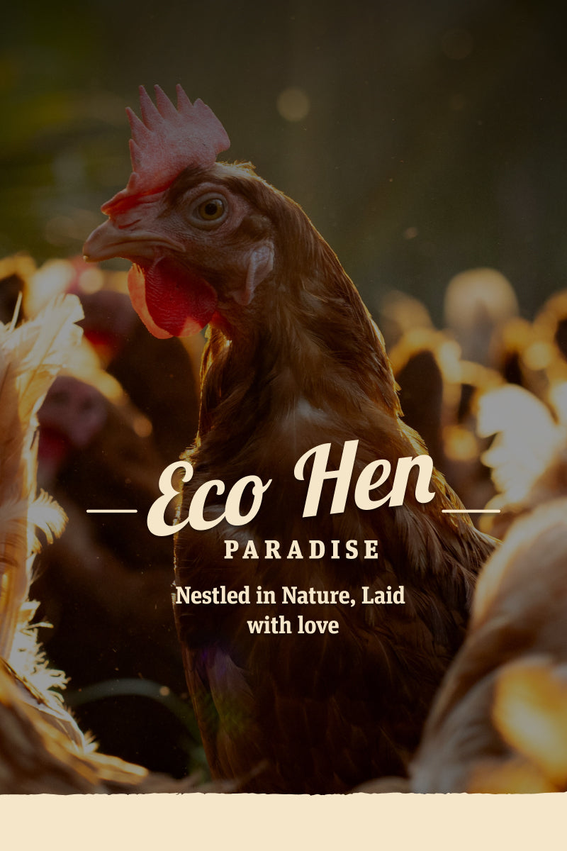 Our farm – Farm Made Foods