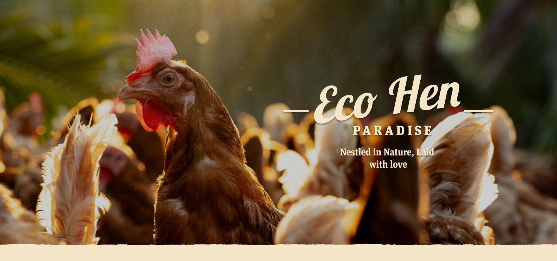 Our farm – Farm Made Foods