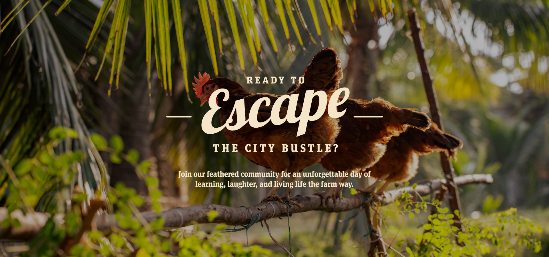 Farm Visit Experience at Farm Made Foods | Explore Our Farm